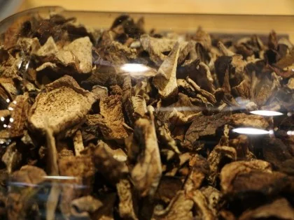 Cèpes séchés - 500g - Le Refuge de Marie-Louise